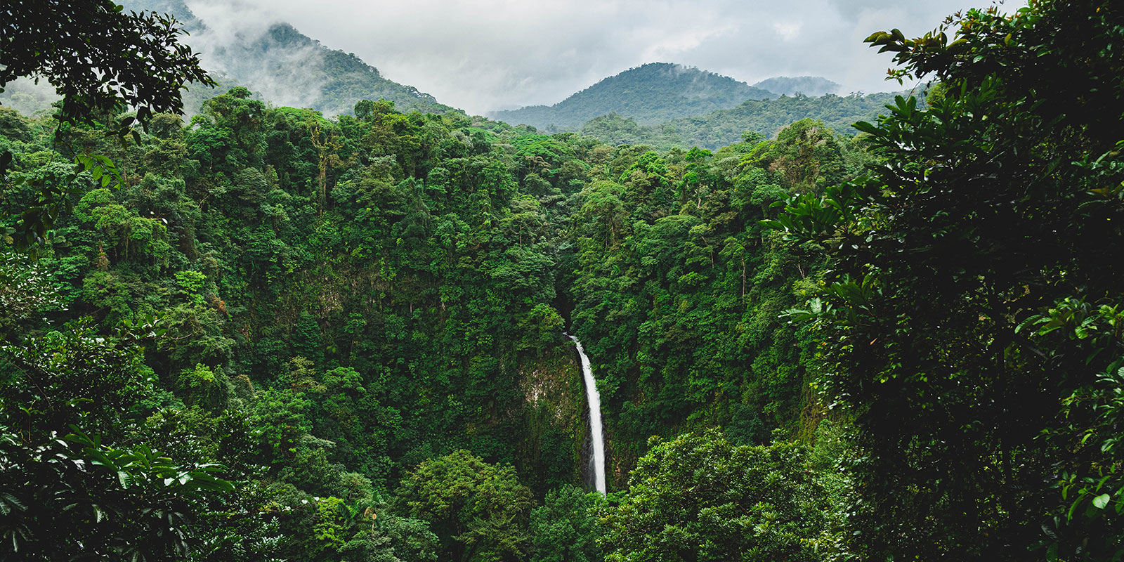 Travel for Credit: Environmental Science in Costa Rica | EF Educational ...
