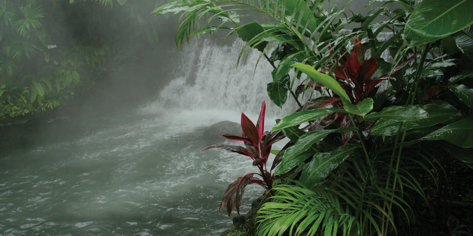 Costa Rica: A Touch of the Tropics | EF Educational Tours Canada